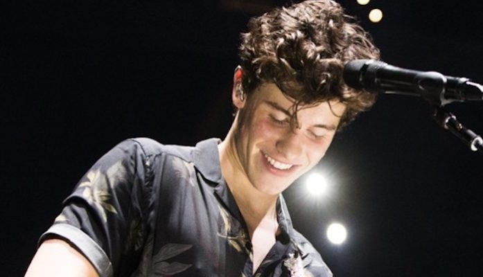 Shawn_Mendes_Live_in_Concert_(cropped)